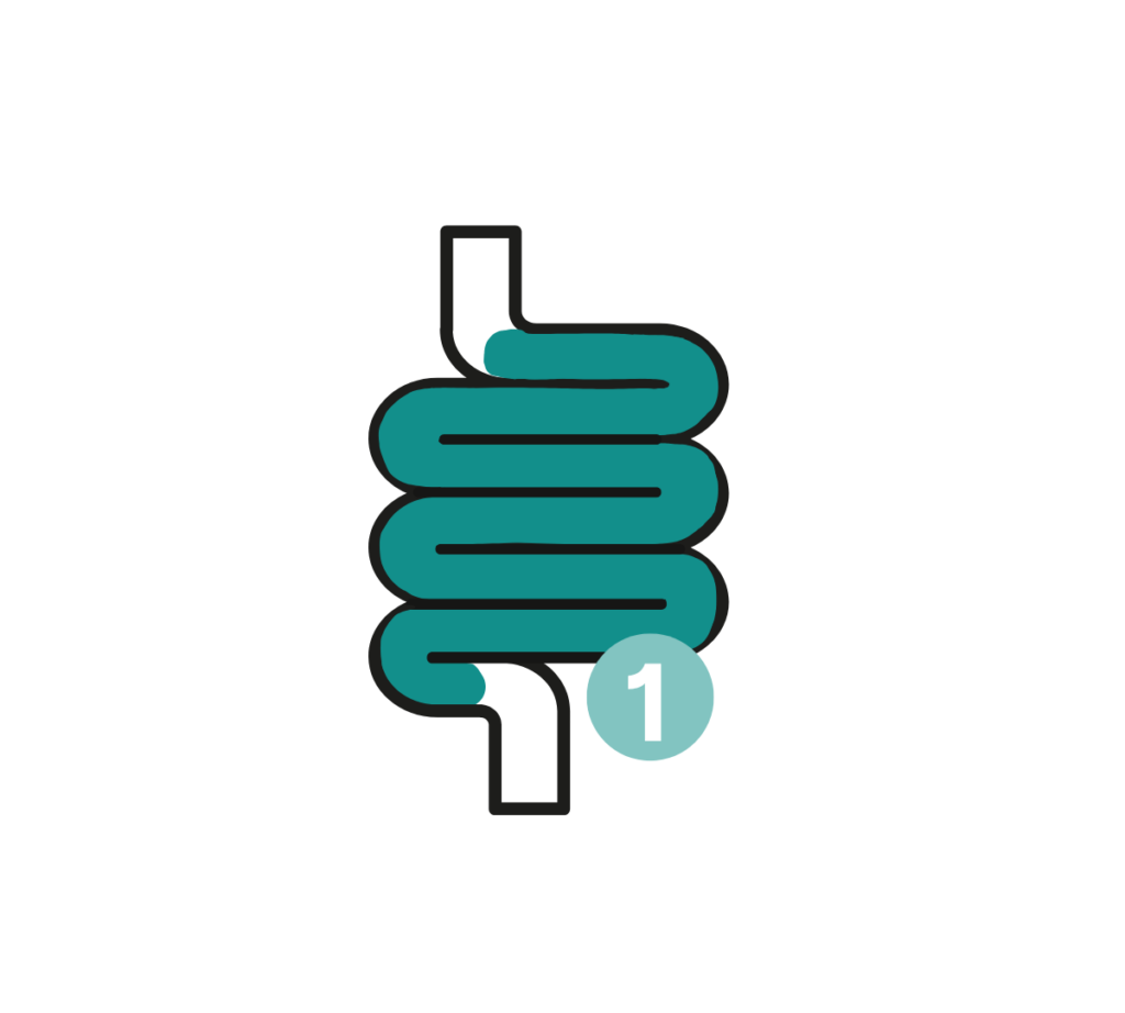 Digestic - The 100% natural anti-constipation solution