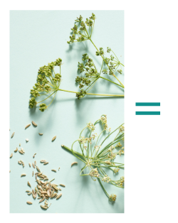 Checkout - Digestic Official Website - The All-Natural Constipation ...