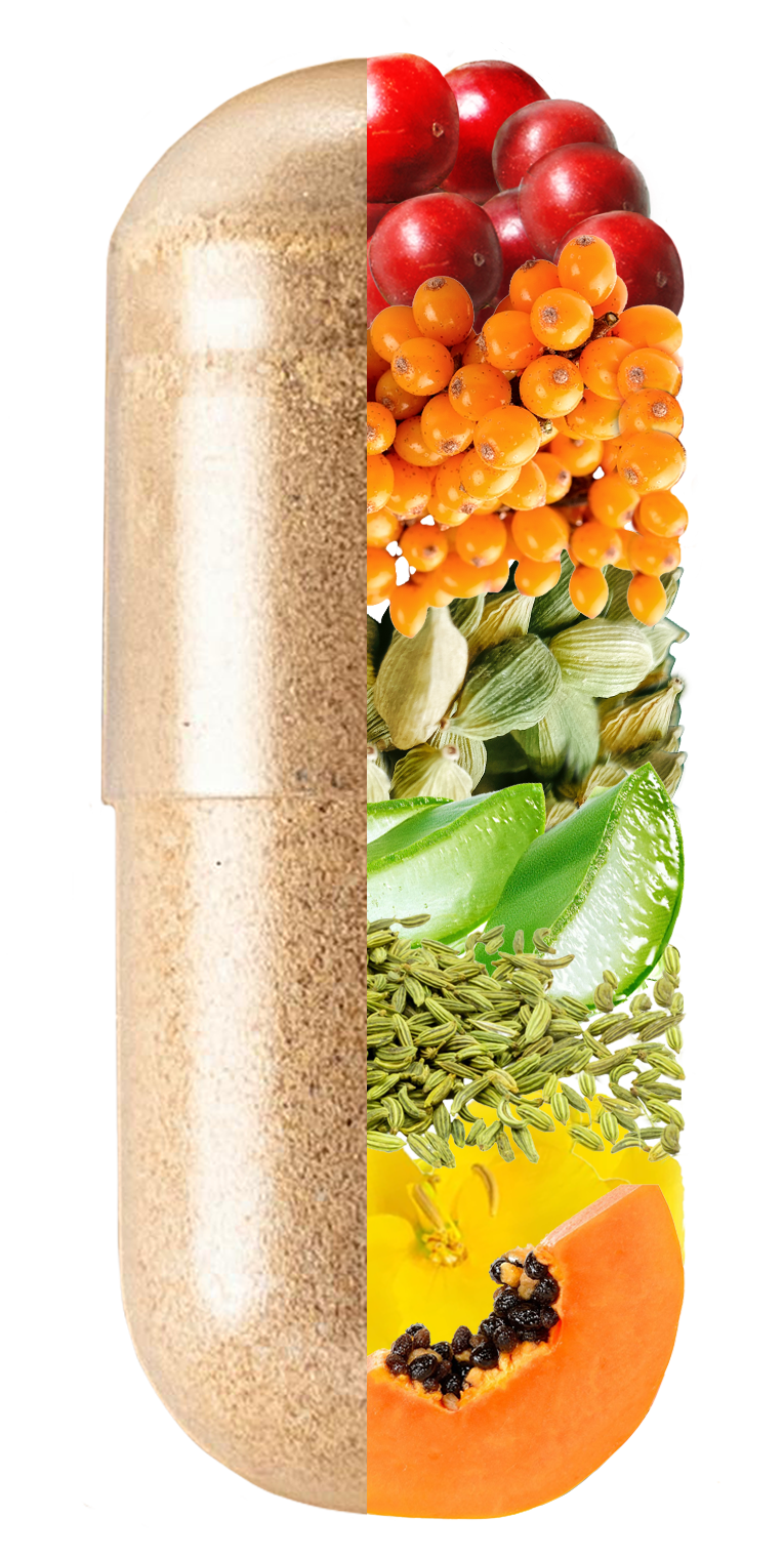 Digestic - La solution anti constipation 100% naturelle