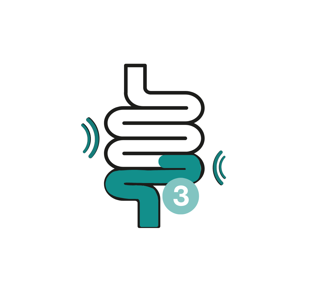 Digestic - La solution anti constipation 100% naturelle