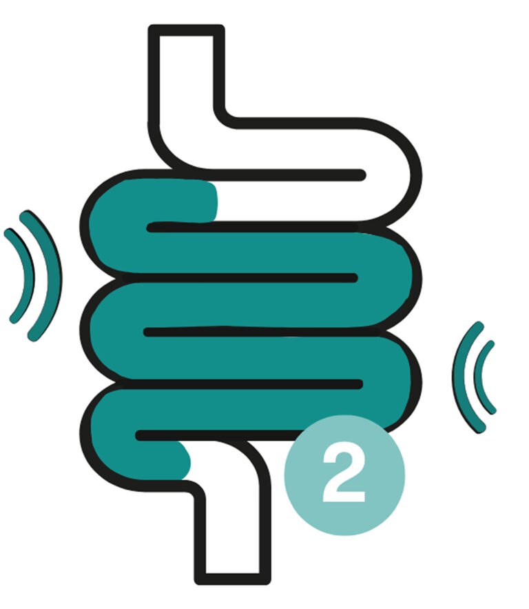 Digestic - The 100% natural anti-constipation solution