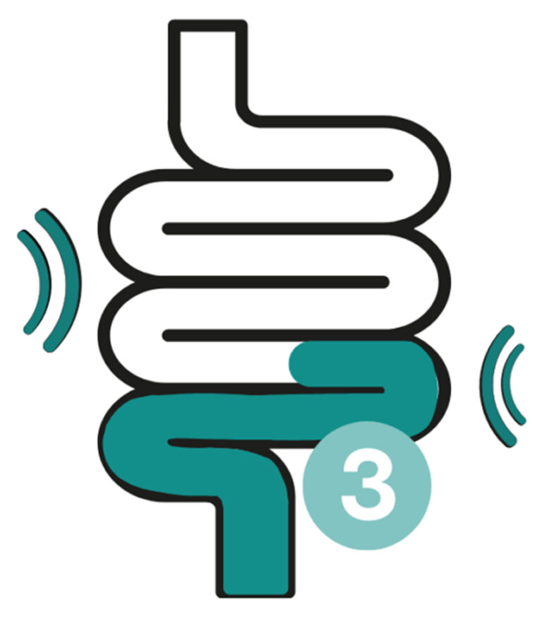 Digestic - The 100% natural anti-constipation solution